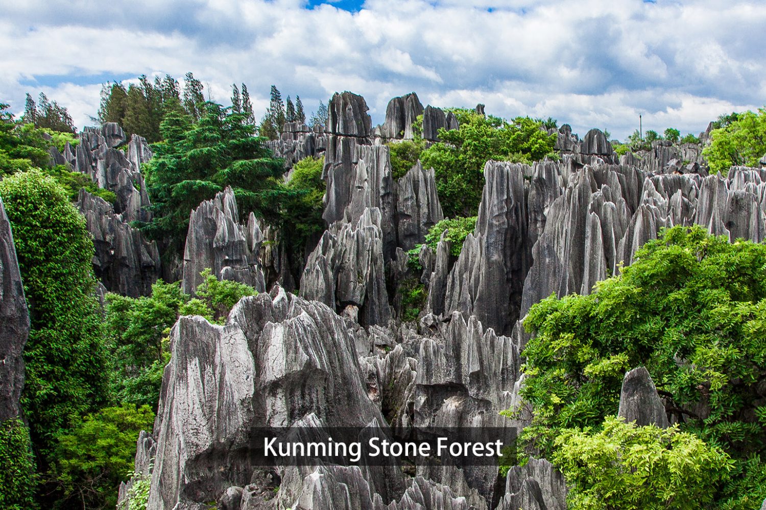 Kunming 3-Day Private Tour Package-IslamiChina Travel