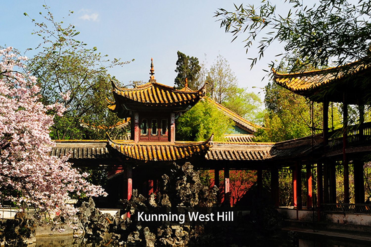 Kunming 3-Day Private Tour Package-IslamiChina Travel