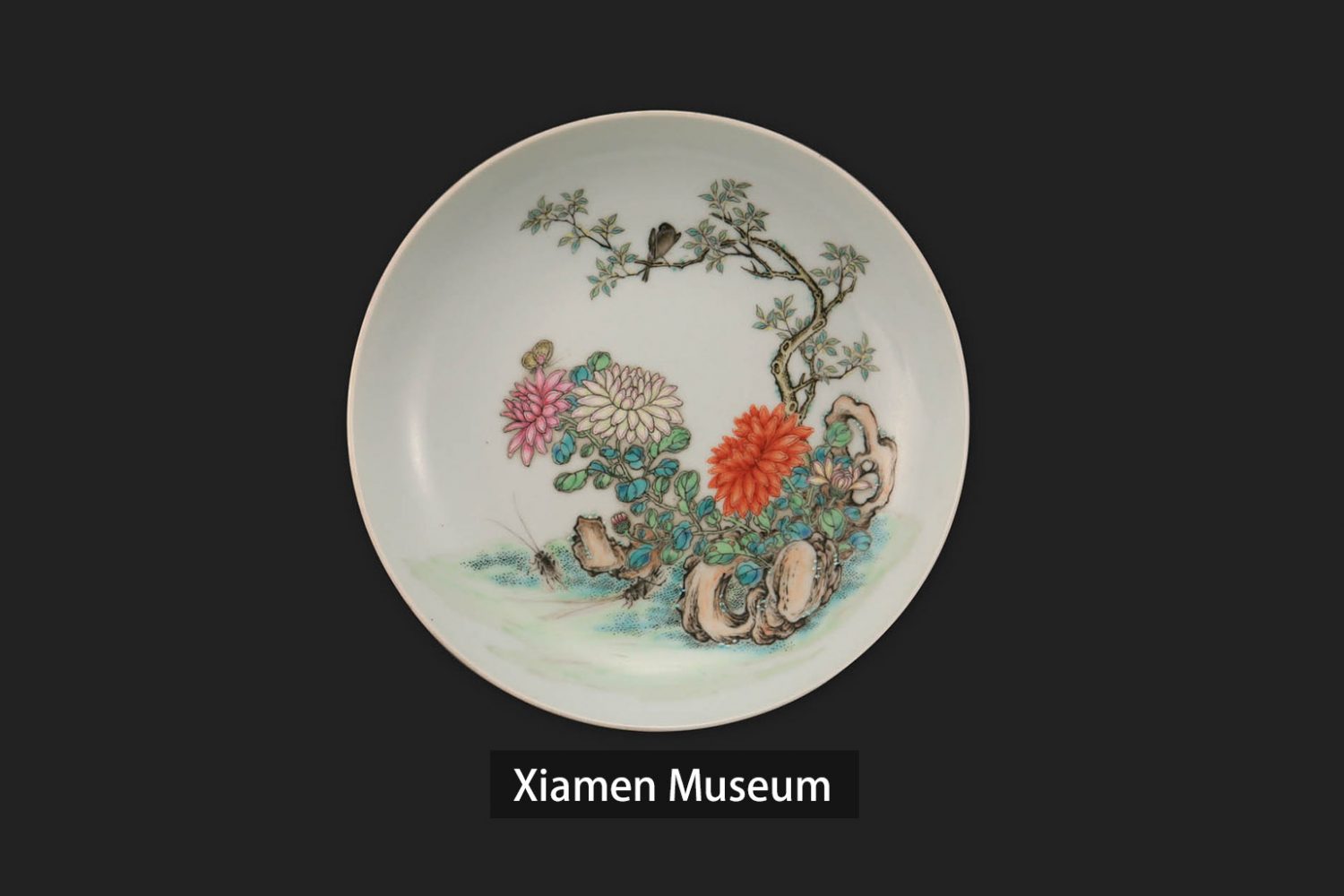 Best of Xiamen Private Day Trip to Gulangyu Island, Huli Mountain Fort ...